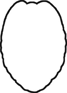 Strong Badge Cutout Number 018